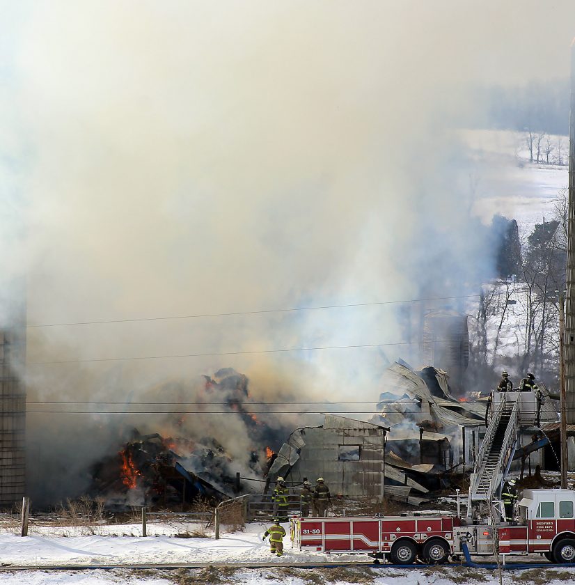 Fire destroys barns, kills 90 cattle | News, Sports, Jobs - Altoona Mirror